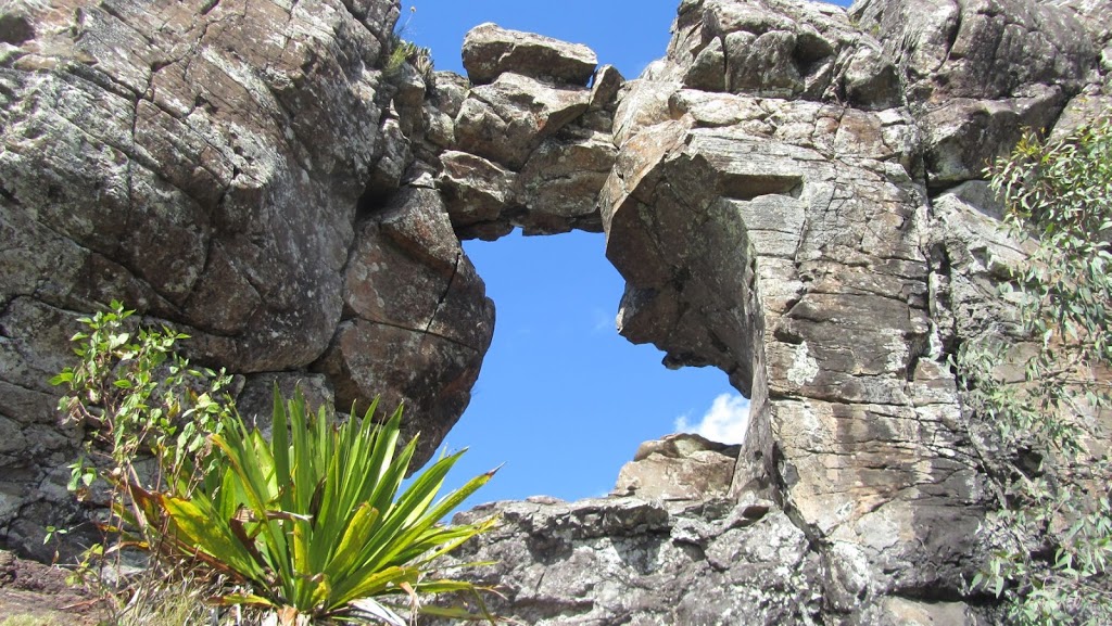 Bush Walk 6: Hole in the Wall (Main Range NP – Goomburra Section) | My ...